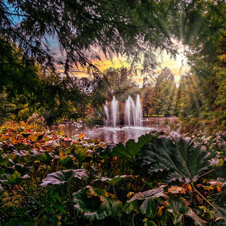 Brian Roe - Contemporary Photographic Artist