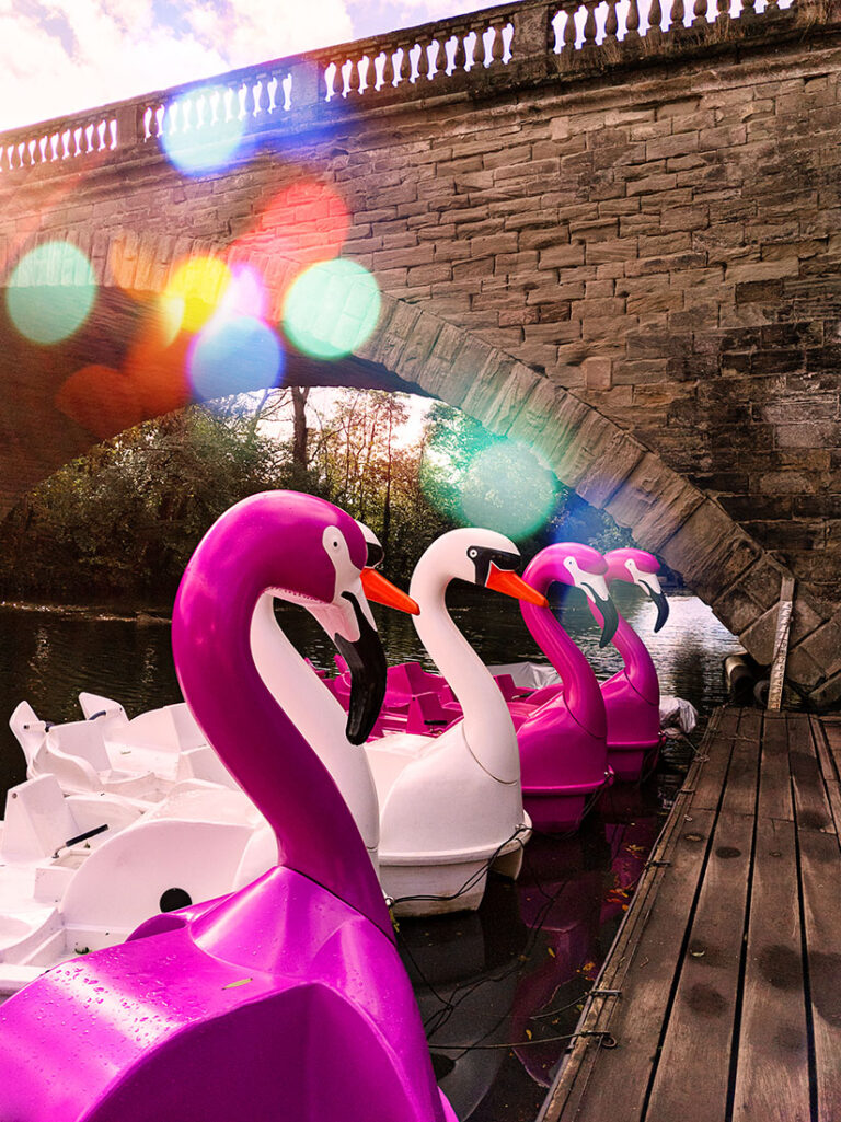 Brian Roe - Contemporary Photographic Artist