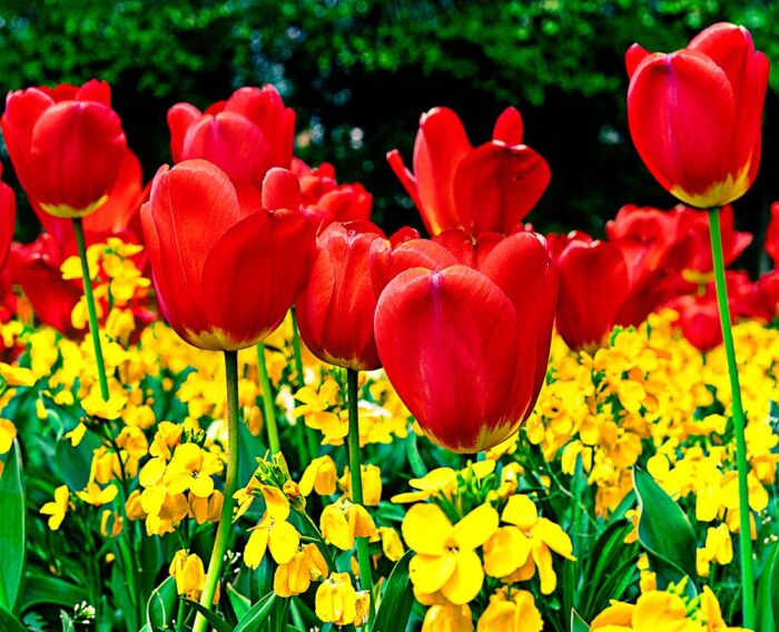 Brian Roe - Contemporary Photographic Artist